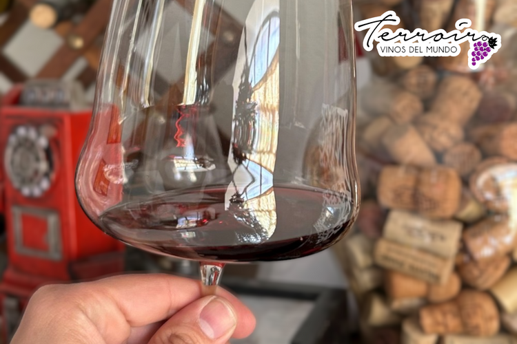La influencia de la copa en el vino – Terroir
